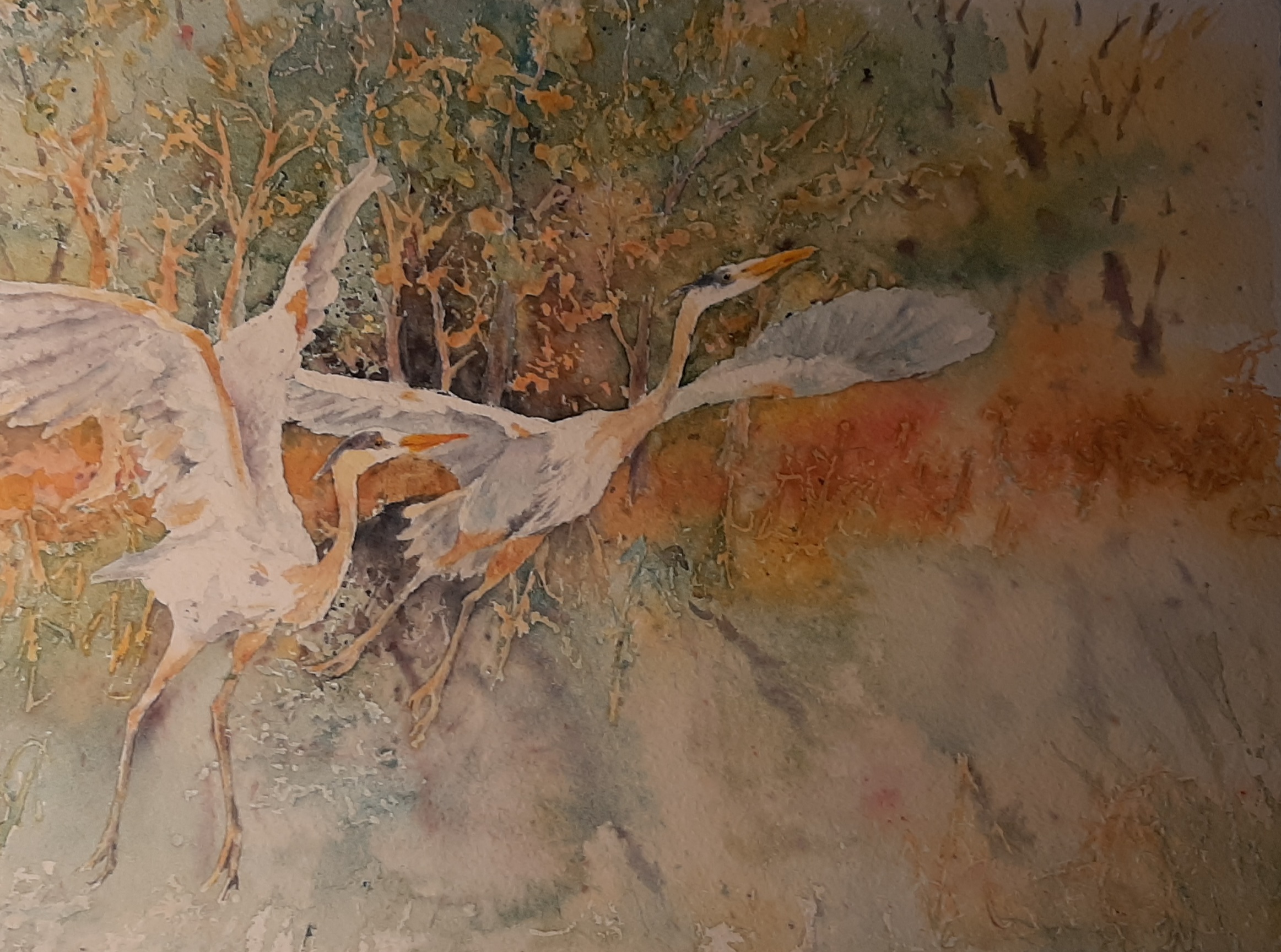 Work Shops with Lian Quan Zhen | Paints and Pots